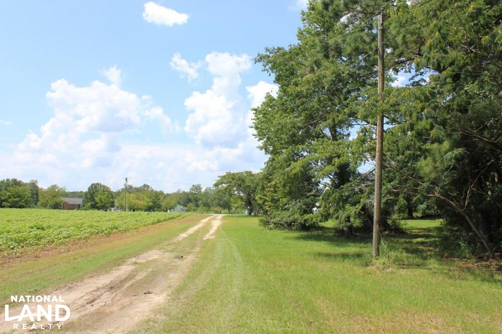 Jamestown Investment and Hunting Land in Berkeley County, South ...