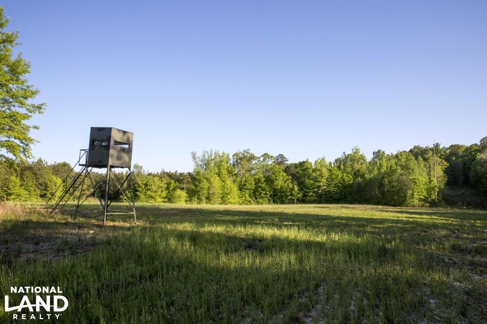 Jake Peavy's Southern Falls Plantation in Wilcox County, Alabama (99 ...