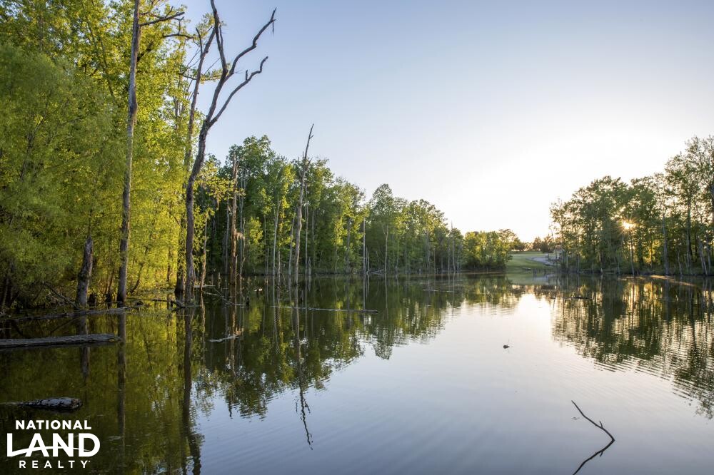 Jake Peavy's Southern Falls Plantation in Wilcox County, Alabama (99 ...
