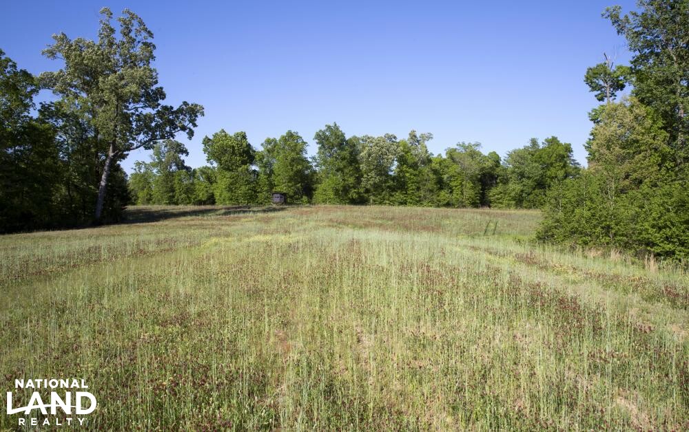 Jake Peavy's Southern Falls Plantation in Wilcox County, Alabama (99 ...