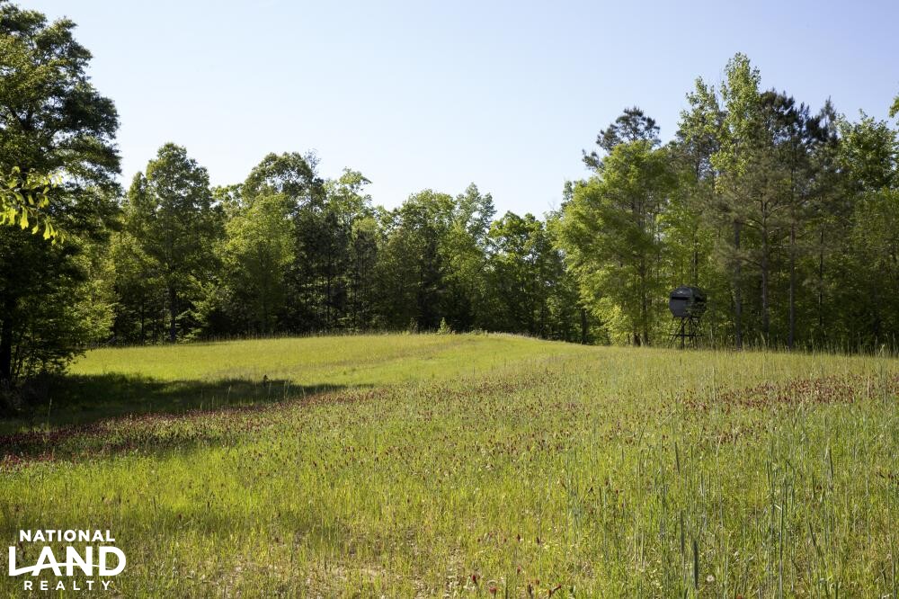 Jake Peavy's Southern Falls Plantation in Wilcox County, Alabama (99 ...