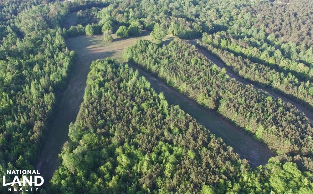 Jake Peavy's Southern Falls Plantation in Wilcox County, Alabama (99 ...