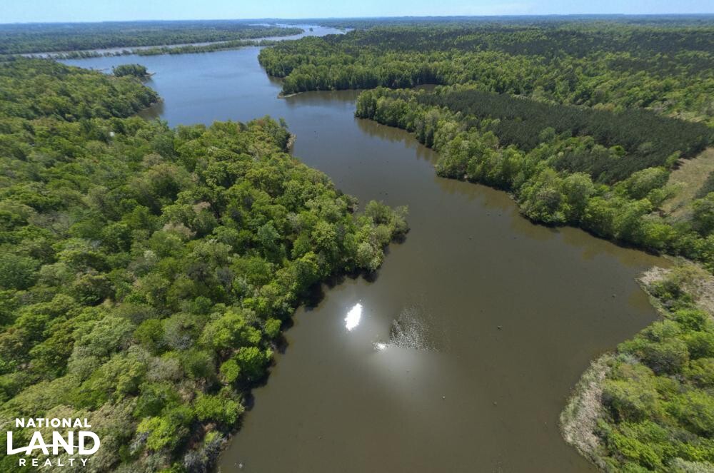 Jake Peavy's Southern Falls Plantation in Wilcox County, Alabama (99 ...