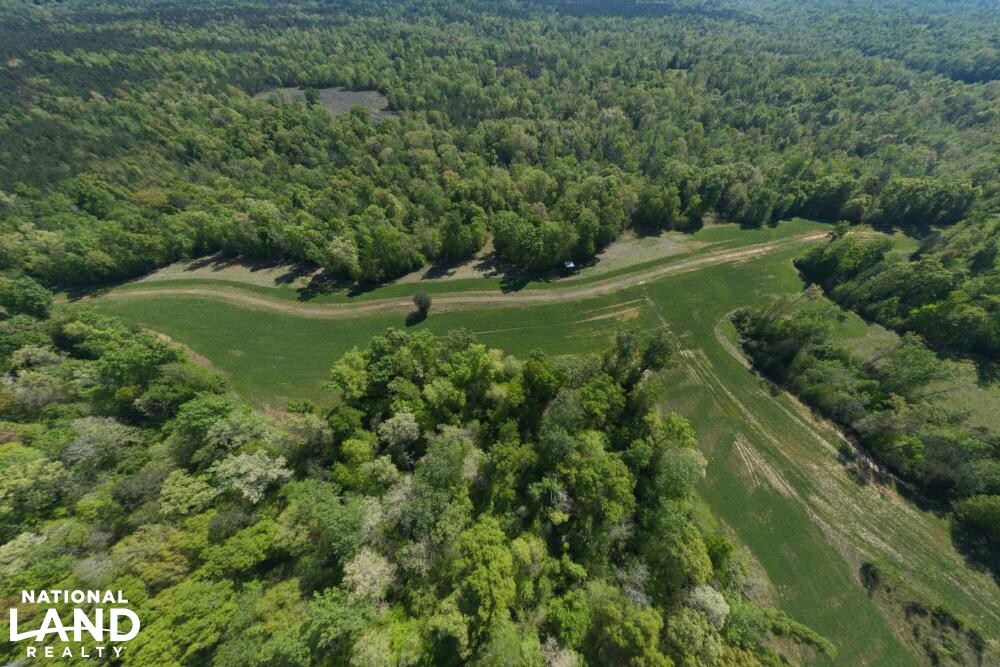 Jake Peavy's Southern Falls Plantation in Wilcox County, Alabama (99 ...