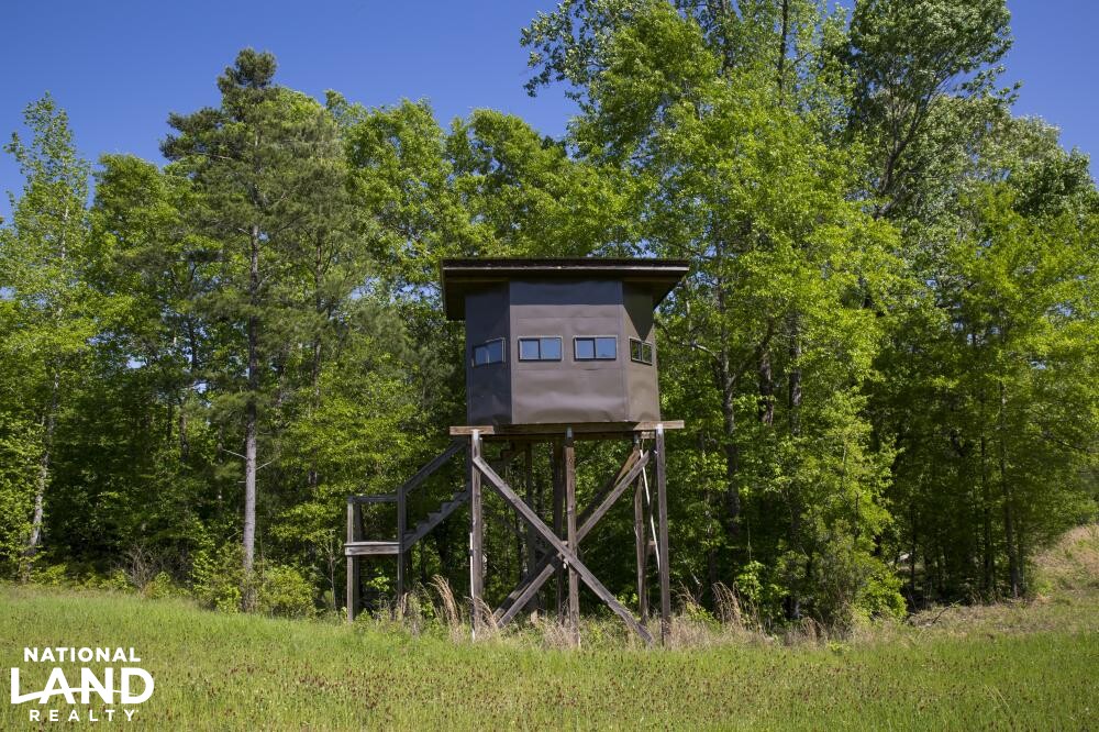 Jake Peavy's Southern Falls Plantation in Wilcox County, Alabama (99 ...
