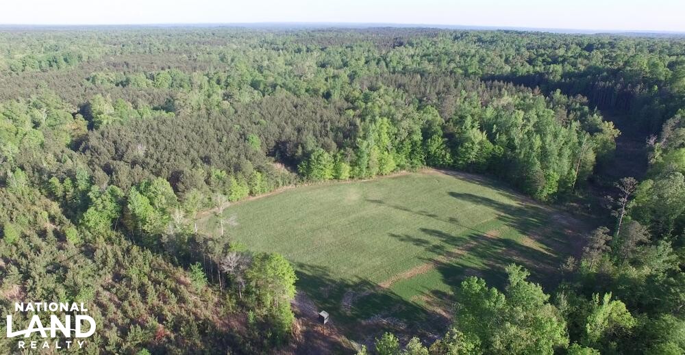 Jake Peavy's Southern Falls Plantation in Wilcox County, Alabama (99 ...