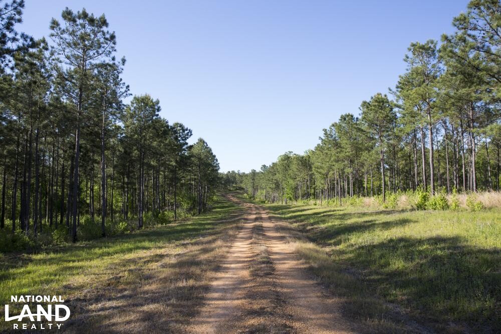 Jake Peavy's Southern Falls Plantation in Wilcox County, Alabama (99 ...