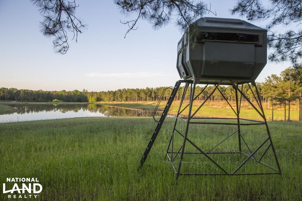 Jake Peavy's Southern Falls Plantation in Wilcox County, Alabama (99 ...