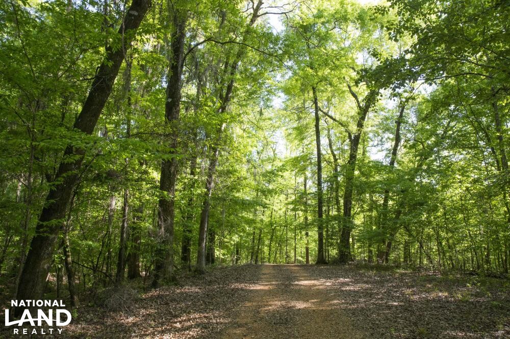 Jake Peavy's Southern Falls Plantation in Wilcox County, Alabama (99 ...