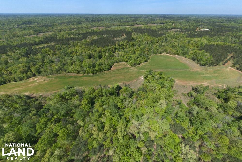 Jake Peavy's Southern Falls Plantation in Wilcox County, Alabama (99 ...