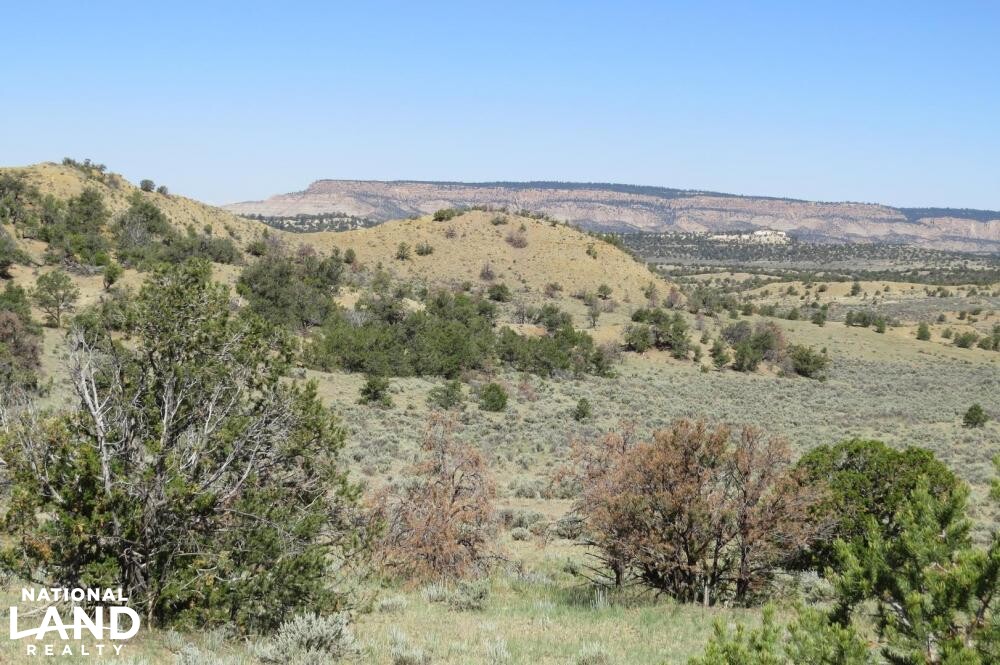 Cuba, NM San Pablo Canyon Hunting Ranch in Sandoval County, New Mexico ...