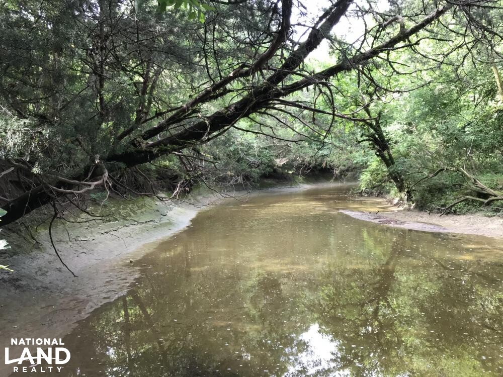 Noxubee River Tract in Noxubee County, Mississippi (15 Photos ...