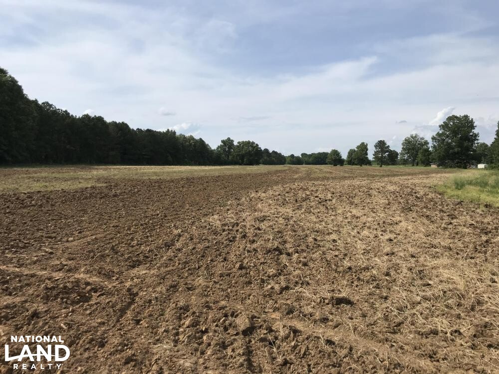 Dancy Farm & Home in Pickens County, Alabama (13 Photos) | National ...