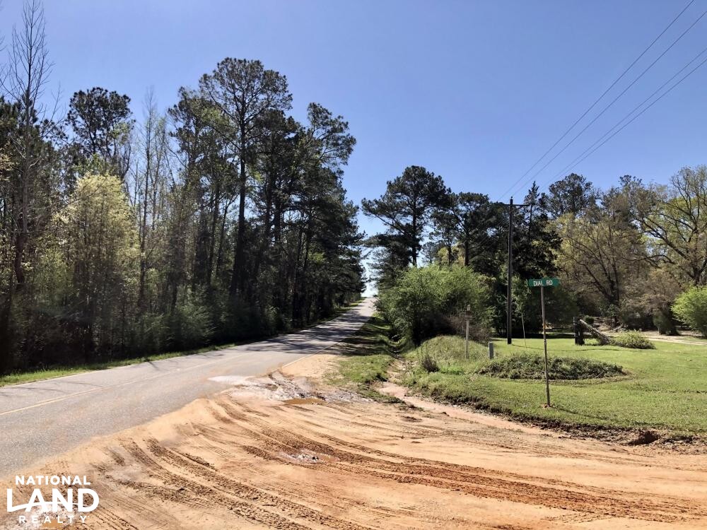Walker Springs Hunting Cabin and Timber Investment Tract in Clarke ...