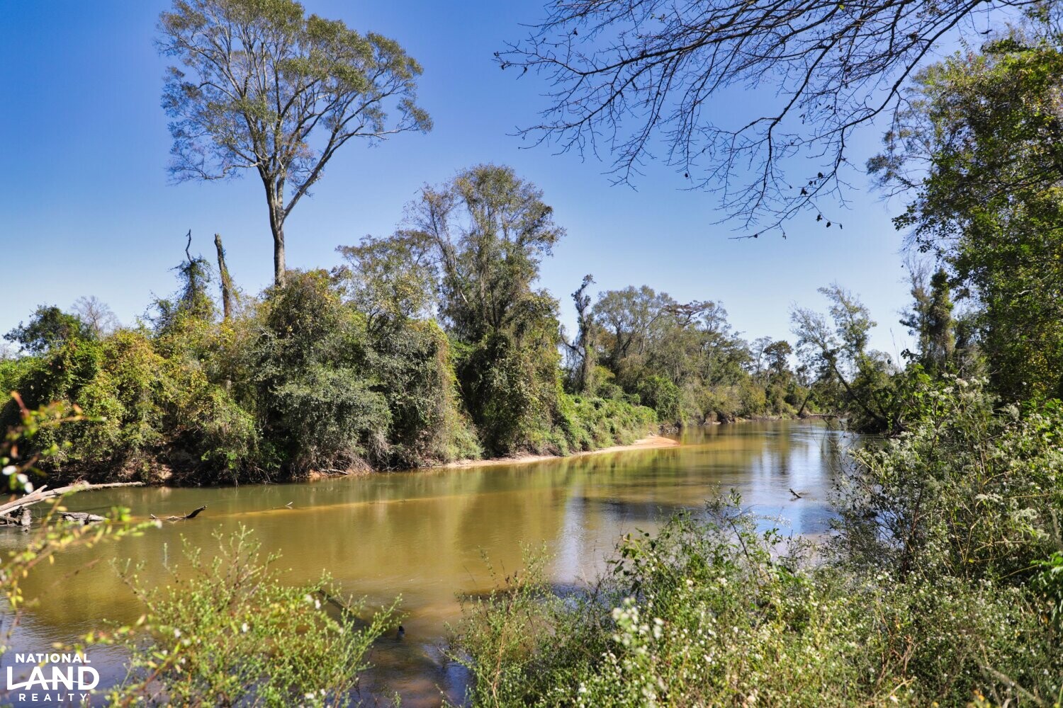Tangipahoa River Timber and Hunting in Tangipahoa Parish, Louisiana (54 ...