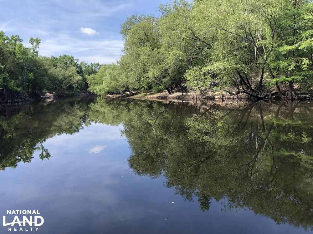 Ohoopee River Recreational Tract in Tattnall County, Georgia (75 Photos ...
