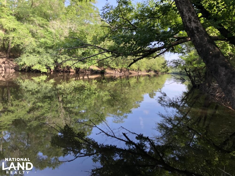Ohoopee River Recreational Tract in Tattnall County, Georgia (75 Photos ...