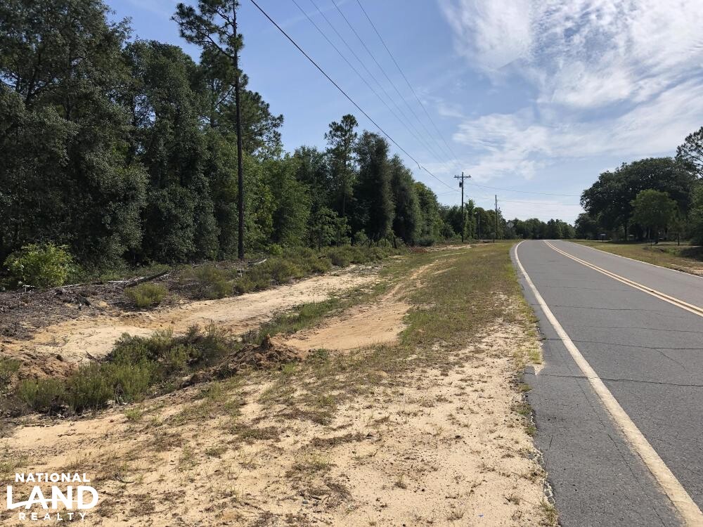 Ohoopee River Recreational Tract in Tattnall County, Georgia (75 Photos ...