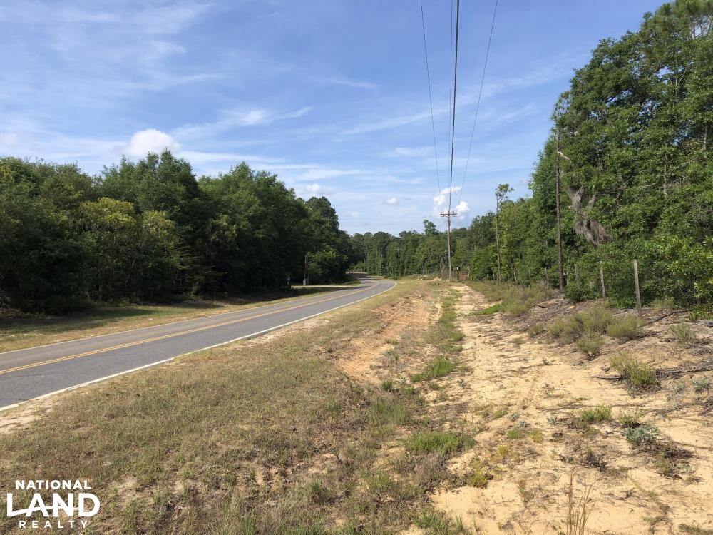 Ohoopee River Recreational Tract in Tattnall County, Georgia (75 Photos ...