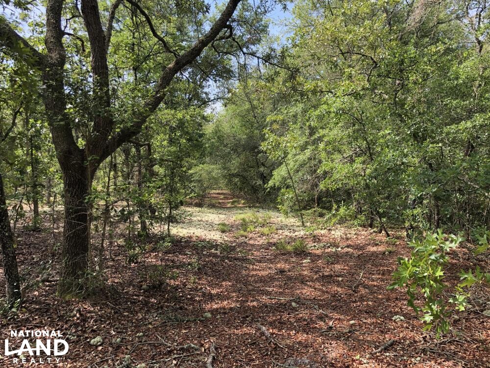 Ohoopee River Recreational Tract in Tattnall County, Georgia (75 Photos ...