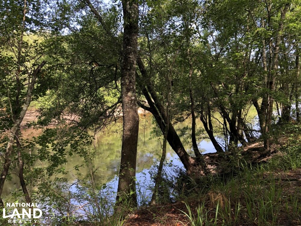 Ohoopee River Recreational Tract in Tattnall County, Georgia (75 Photos ...