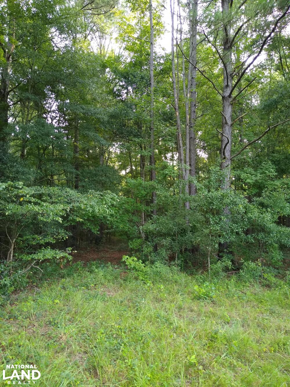 Camp Site adjacent to Barbour WMA in Barbour County, Alabama (20 Photos ...