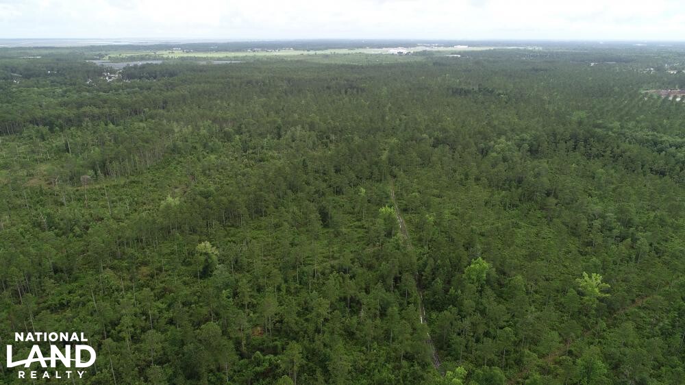 Harry Driggers Blvd Development Tract in Glynn County, Georgia (38 ...