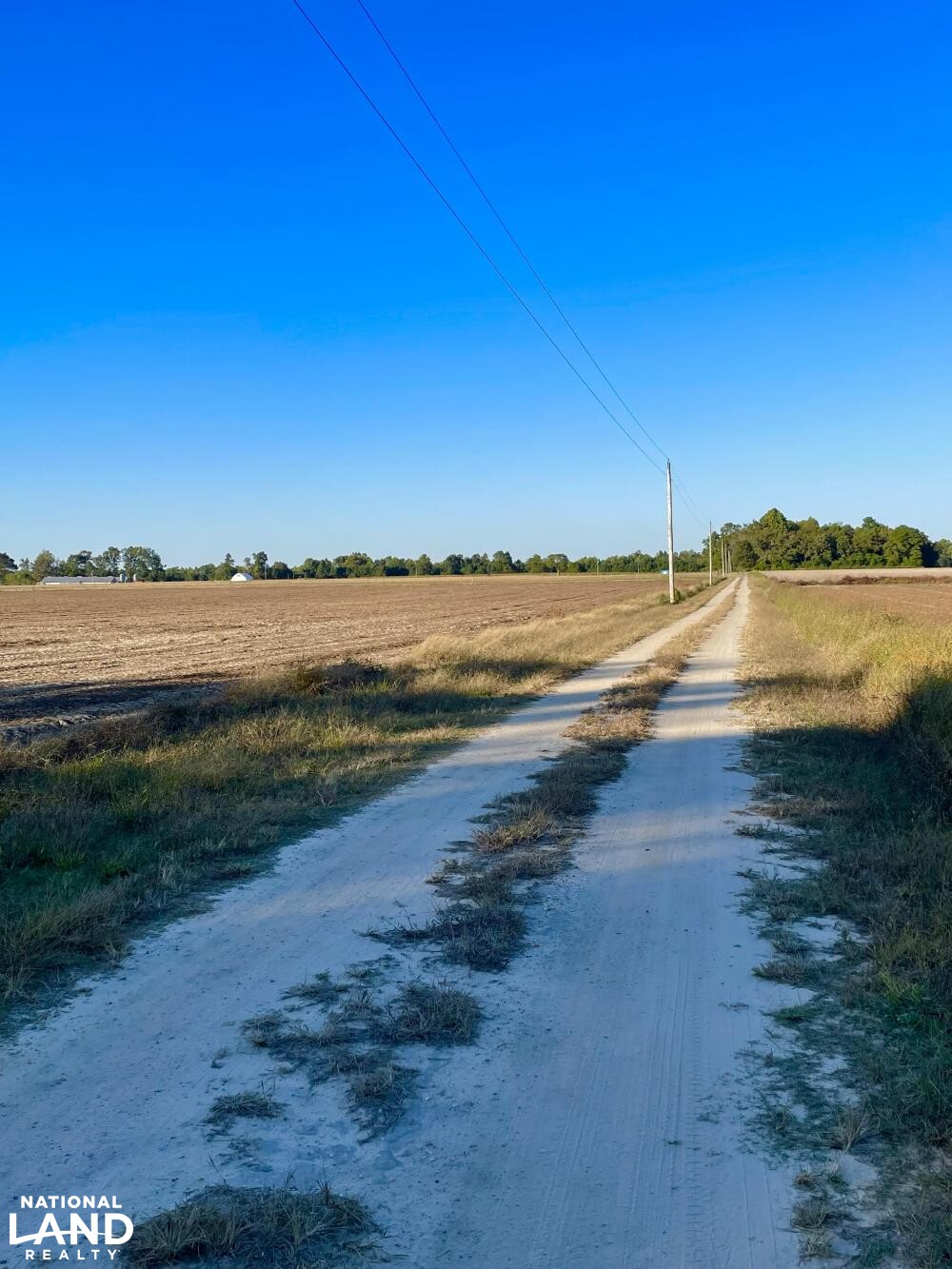 Great Swamp Agriculture & Recreational Farm in Wayne County, North ...