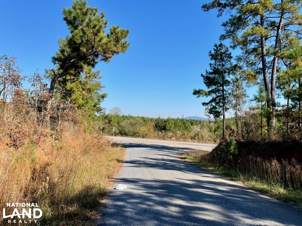 Alpine Residential, Homesite, and Recreational Property in Talladega ...