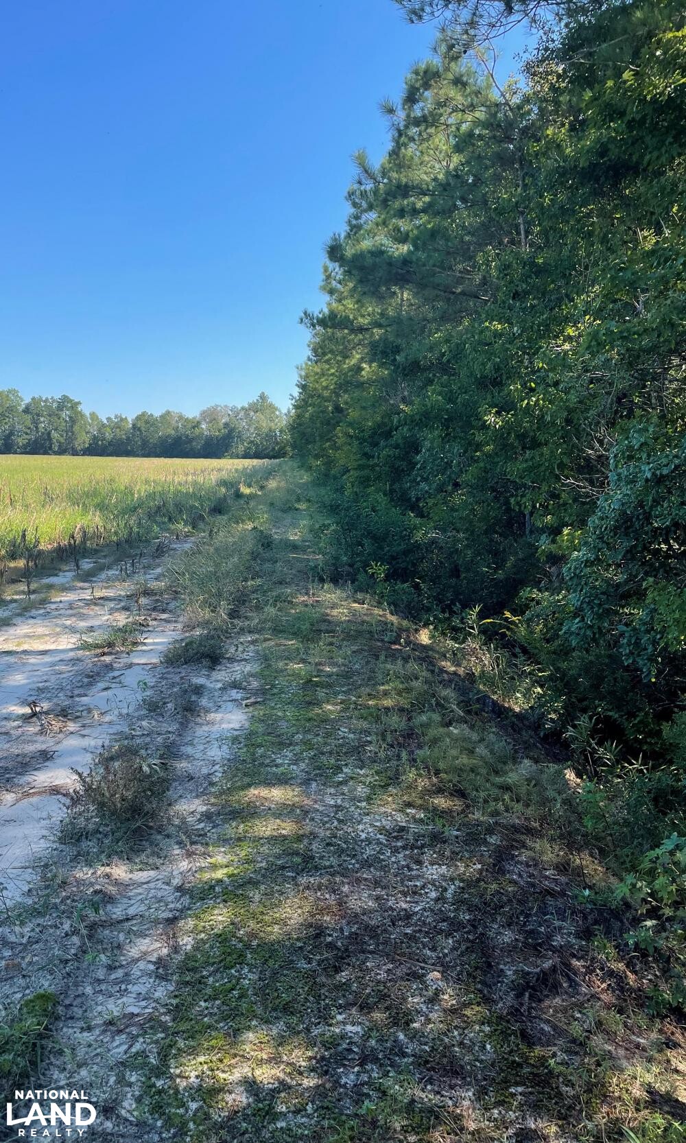 Hewett Farm in Brunswick County, North Carolina (27 Photos) | National ...