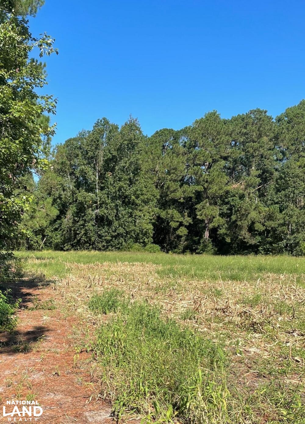 Hewett Farm in Brunswick County, North Carolina (27 Photos) | National ...