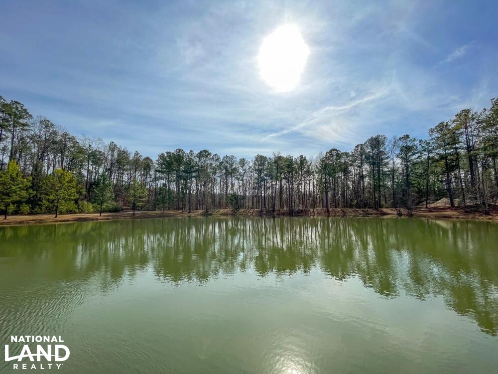 Dallas County Cabin, Lake, Hunting and Timber Retreat in Dallas County ...