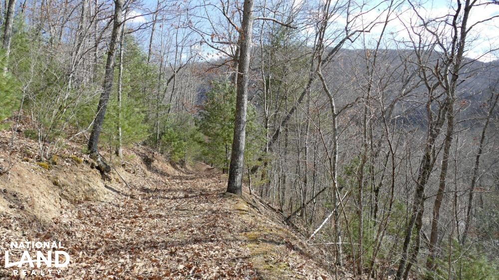 27 Acres in Back Creek Valley in Highland County, Virginia (13 Photos ...