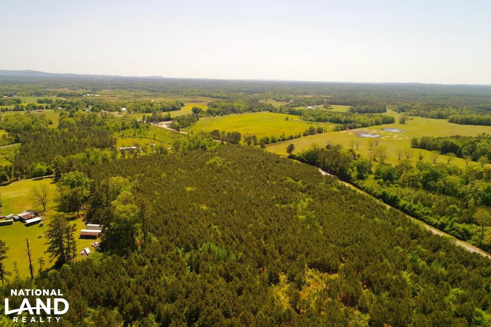 Renfroe Road Residential, Recreational, and Homesite in Talladega ...