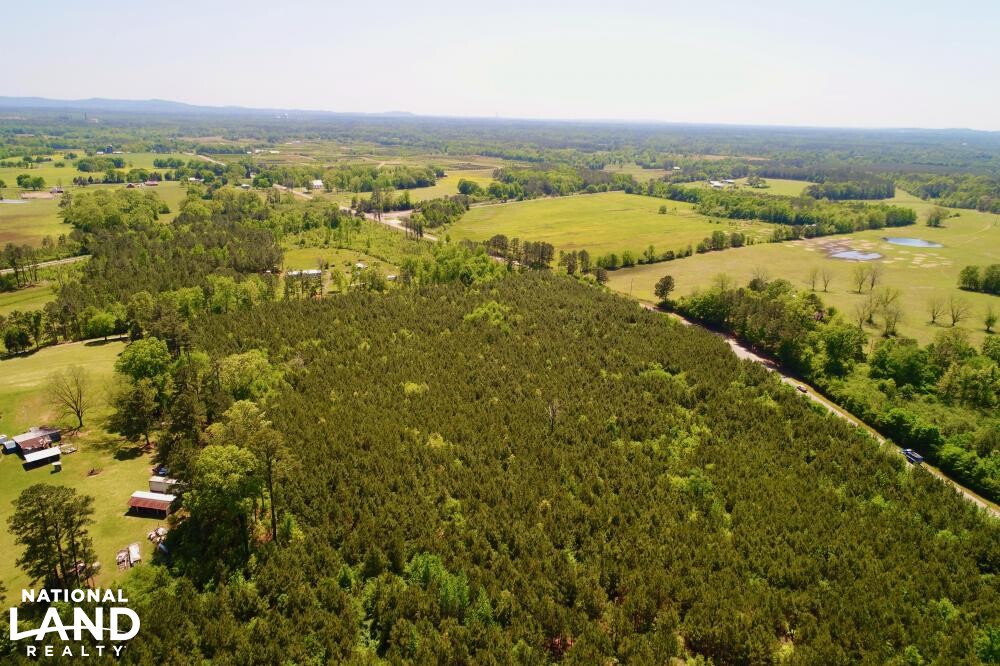 Renfroe Road Residential, Recreational, and Homesite in Talladega ...