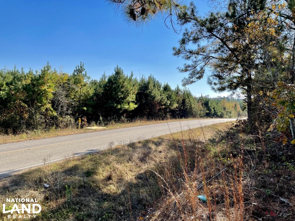 Renfroe Road Residential, Recreational, and Homesite in Talladega ...