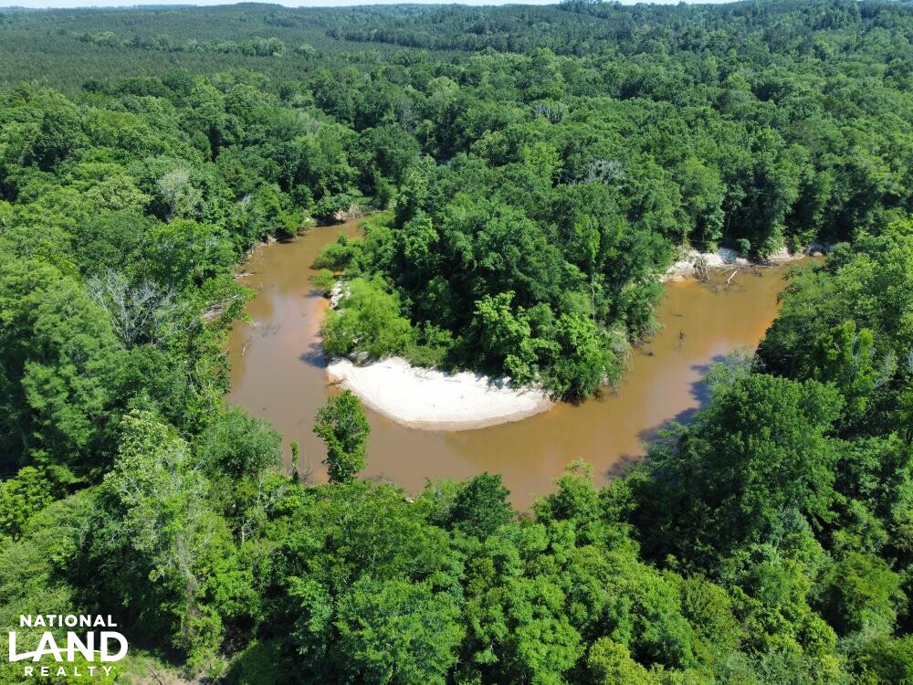 Conecuh River Hunting & Timber Investment in Crenshaw County, Alabama ...