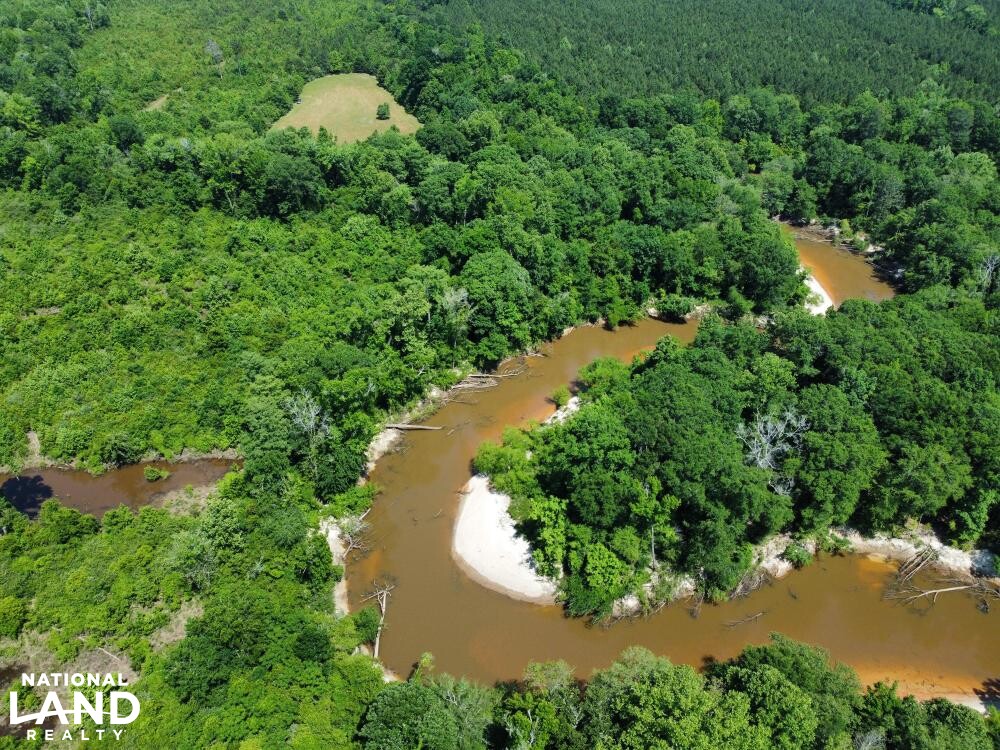 Conecuh River Hunting & Timber Investment in Crenshaw County, Alabama ...