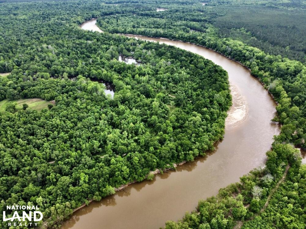 Chickasawhay River Lodge Timber & Hunting Tract in Greene County ...