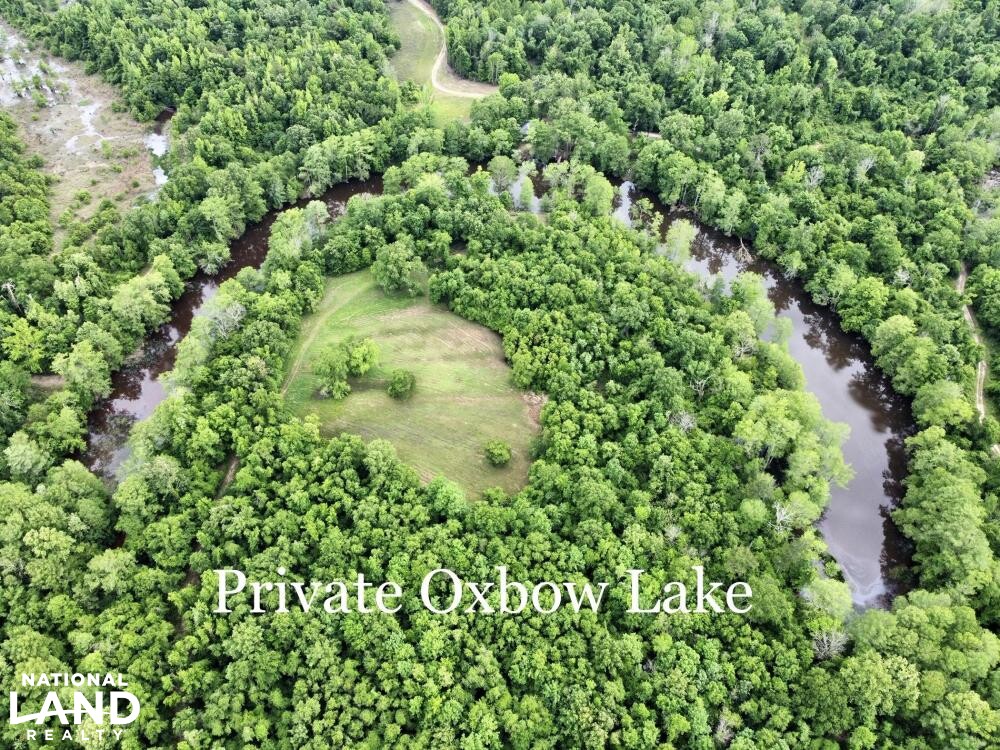 Chickasawhay River Lodge Timber & Hunting Tract in Greene County ...