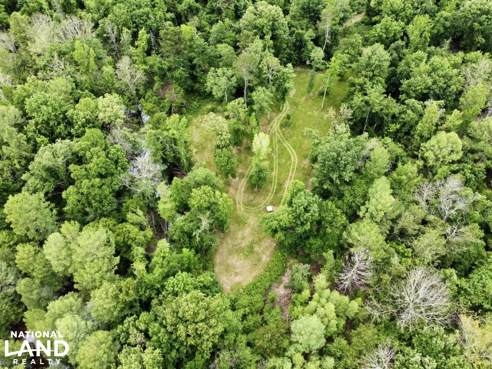 Chickasawhay River Lodge Timber & Hunting Tract in Greene County ...