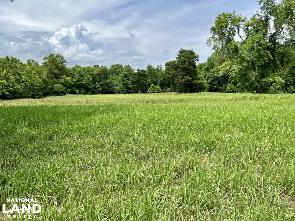 Chickasawhay River Lodge Timber & Hunting Tract in Greene County ...