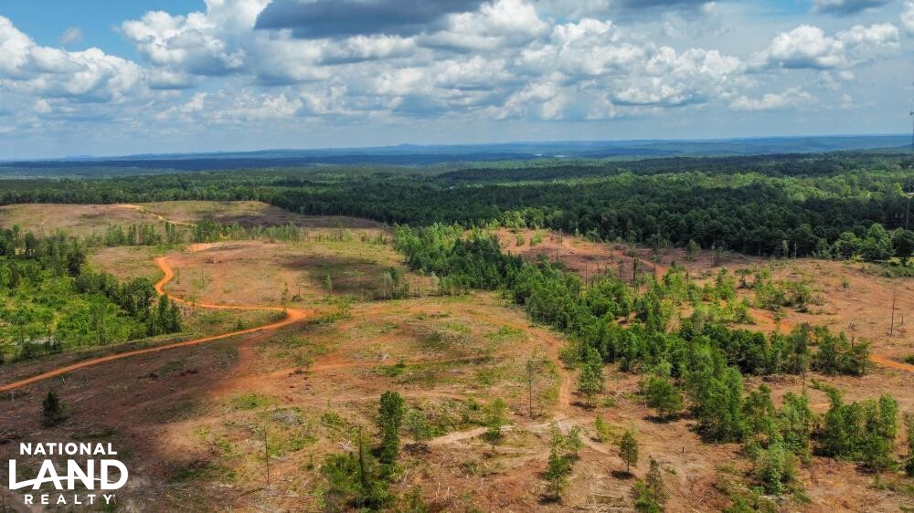 Verbena Land and Hunting Tract in Chilton County, Alabama (18 Photos ...