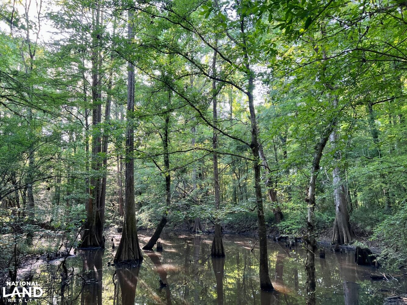 Santa Bogue Creek Millry Road Timber & Hunting Retreat in Washington ...