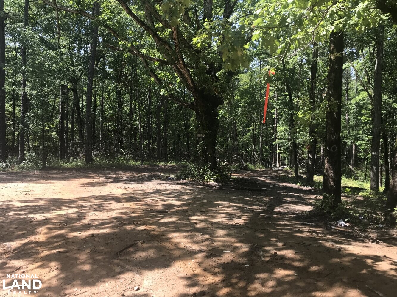 Timberland Joining National Forest in Tippah County, Mississippi (25 ...