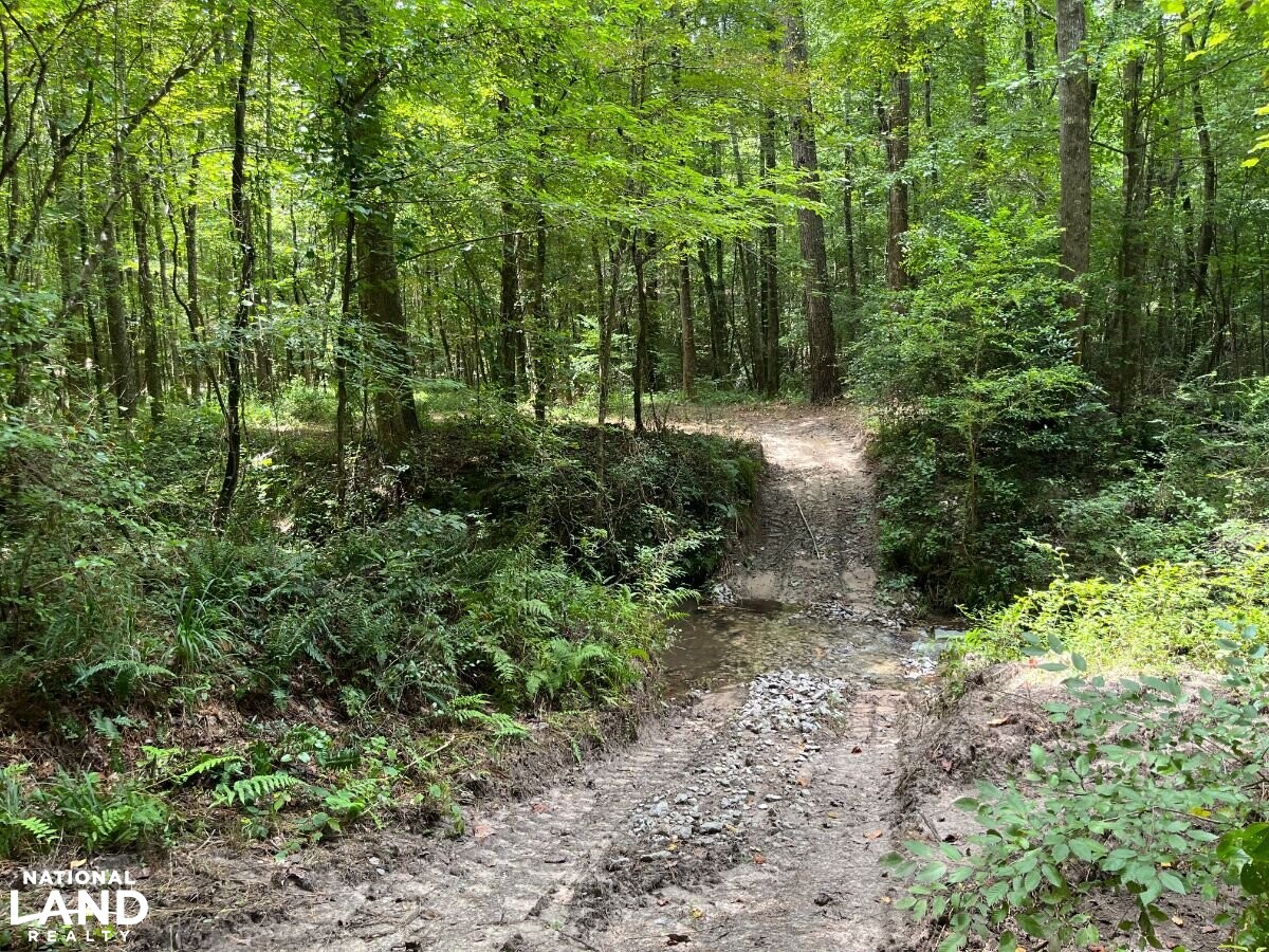 Secluded Cabin With Pond, Creek & Big Timber in Leake County ...