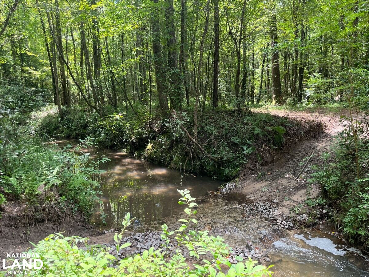 Secluded Cabin With Pond, Creek & Big Timber in Leake County ...