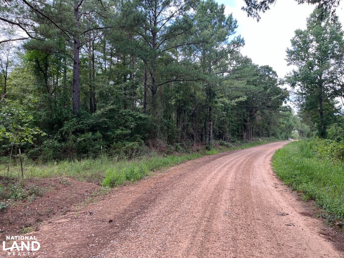 Secluded Cabin With Pond, Creek & Big Timber in Leake County ...