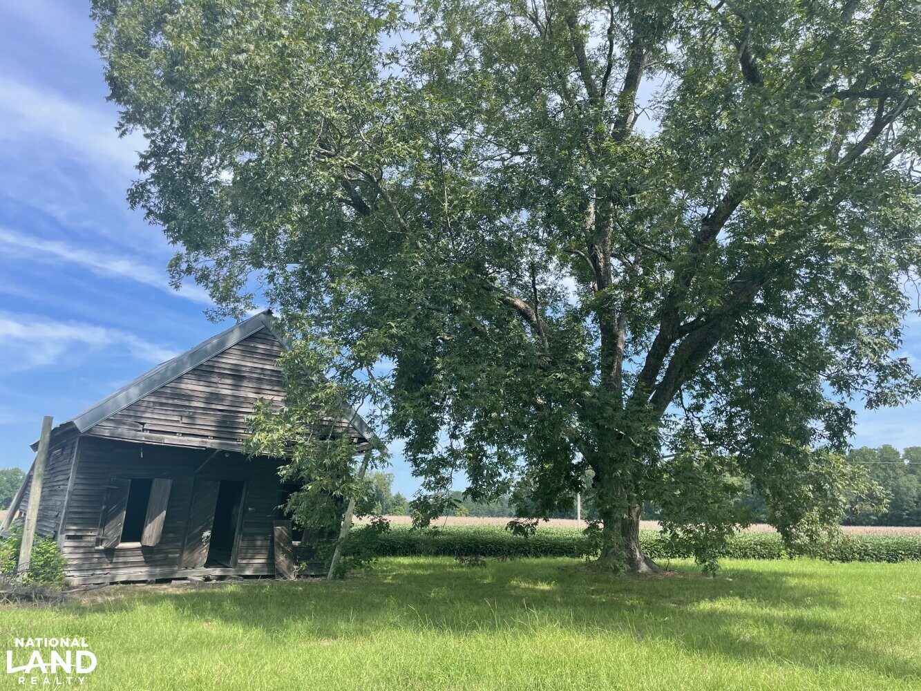 Green Woods Farm in Florence County, South Carolina (13 Photos ...