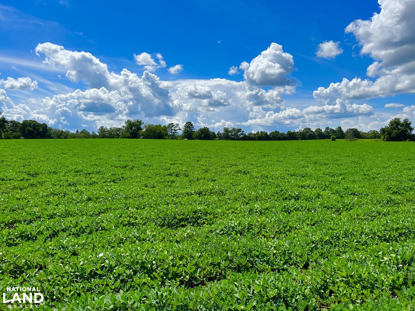 Kelly Branch Homesite and Mini-Farm in Dale County, Alabama (14 Photos ...